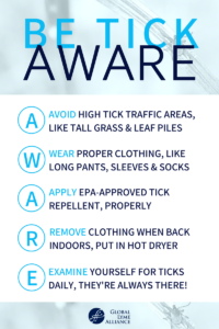 Lyme Disease Prevention: Tips on How to Prevent Lyme Disease