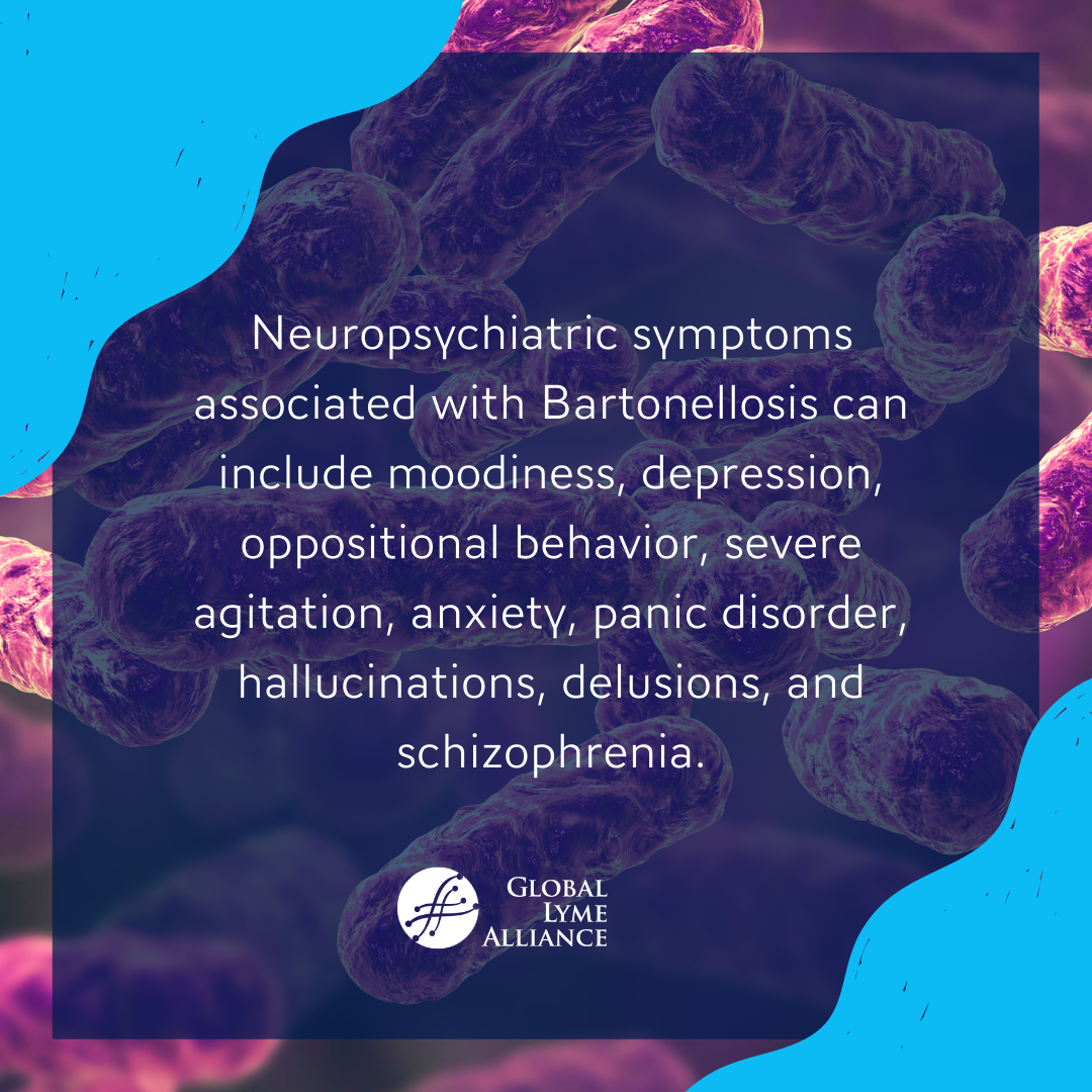 Bartonella - The Stealth Pathogen That Can Be “Seen” Without a Microscope