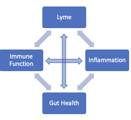 5 Things You Can Do to Support Your Lyme Diagnosis with Nutrition