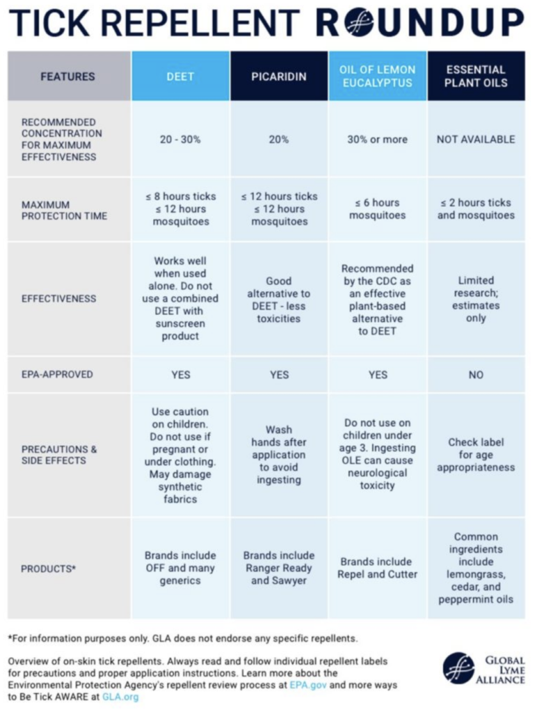 How to Keep Ticks Out of Your Party and Off Your Guests